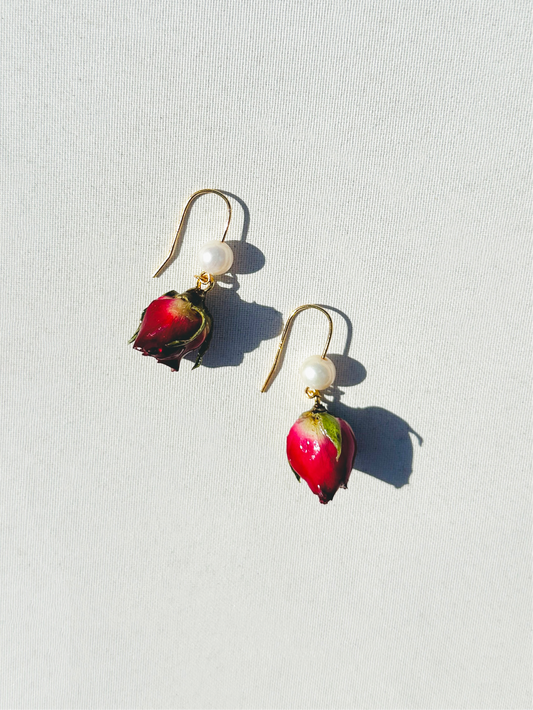 DAUPHINETTE – Dauphinette