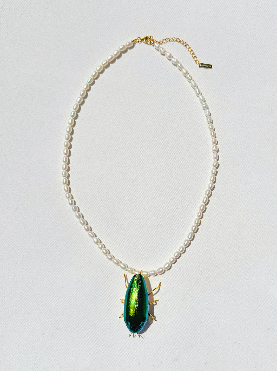 New Arrivals – Dauphinette