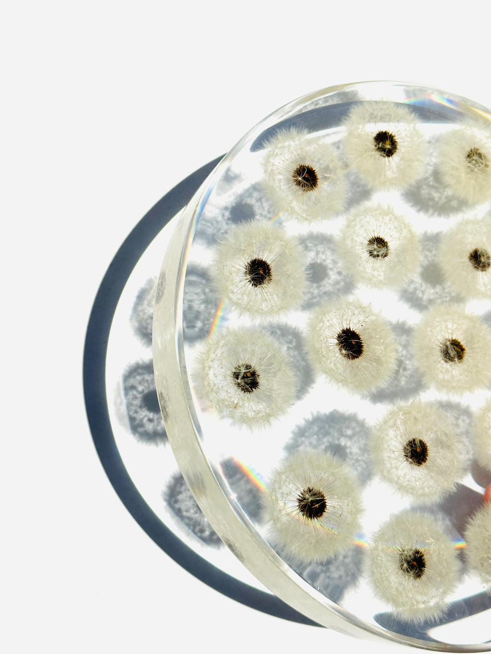 Dandelion Tray – Dauphinette