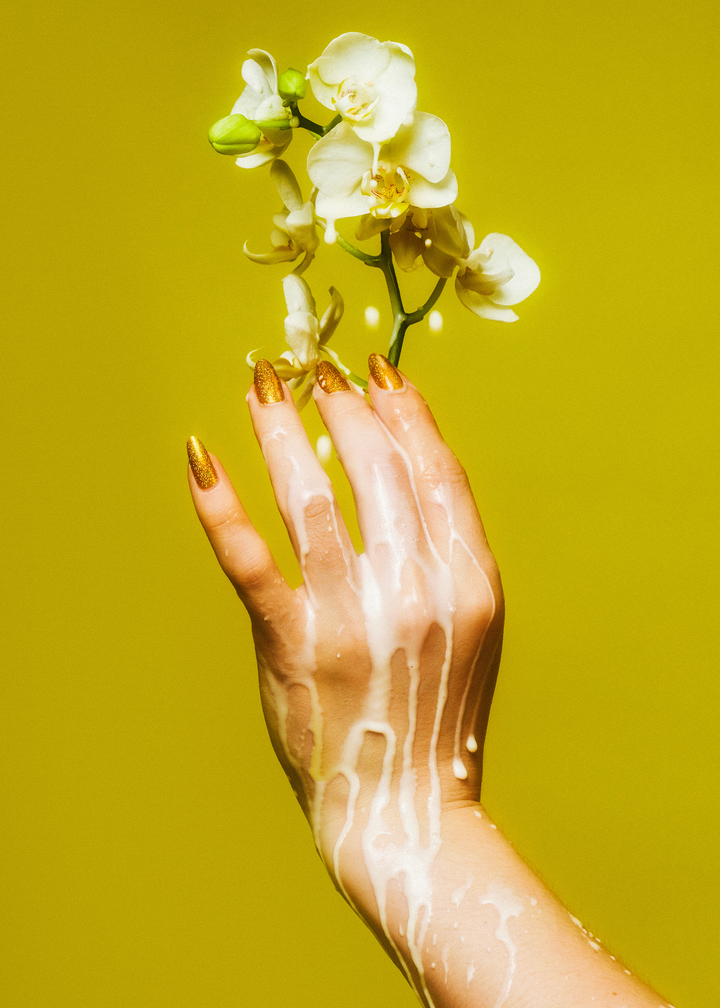 New Arrivals – Dauphinette