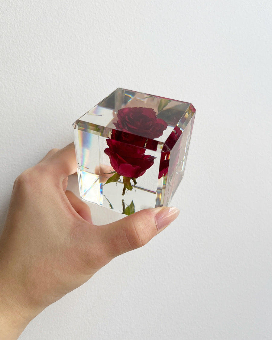 Rose Ice Cube Crystal – Dauphinette